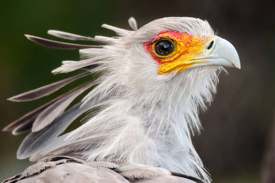 KRGI AM 1430/105.5 FM Listen Live - Grand Island, United States ...