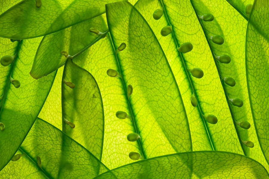 KVOR 740 AM Listen Live - Colorado Springs, United States | Online ...