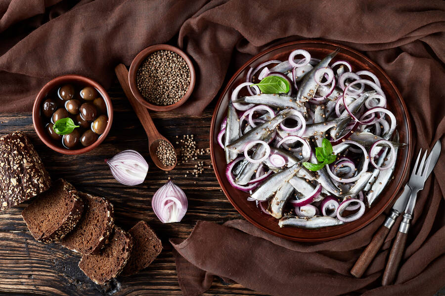 La Troja Radio Barranquilla Colombia - Señal en vivo