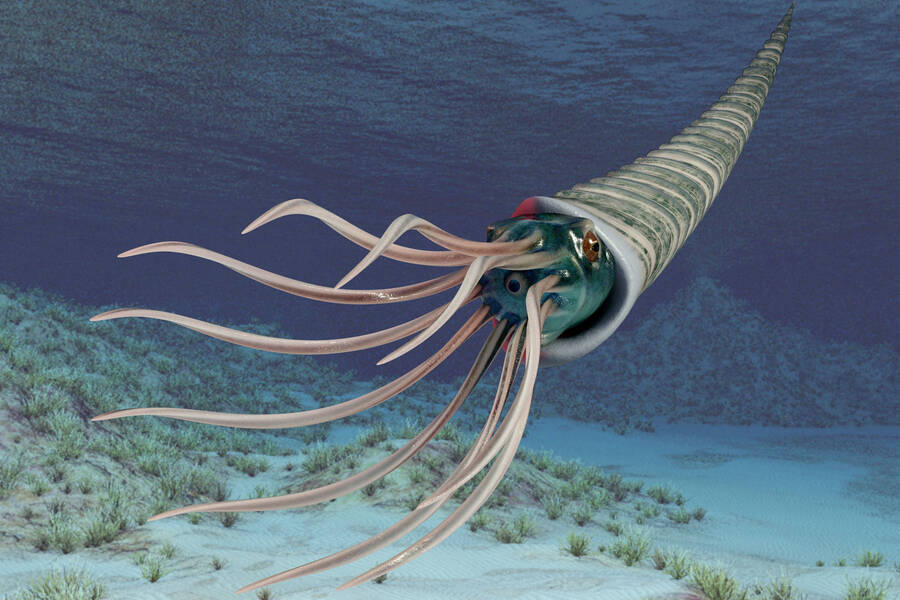 Rafada FM UIN en Direct - 107.7 MHz FM, Banjarmasin, Indonésie | Online Radio Box