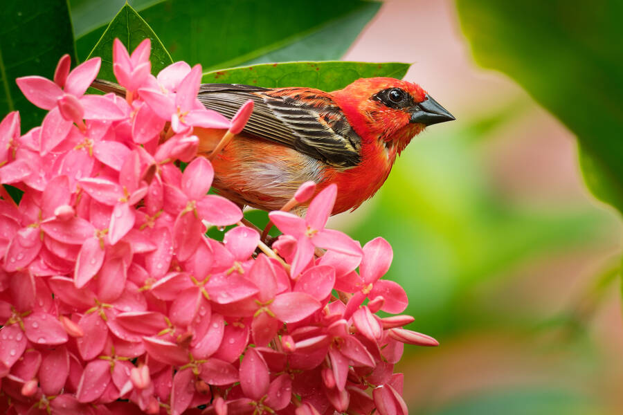 WBBM Newsradio 780 AM & 105.9 FM Listen Live - Chicago, United States ...