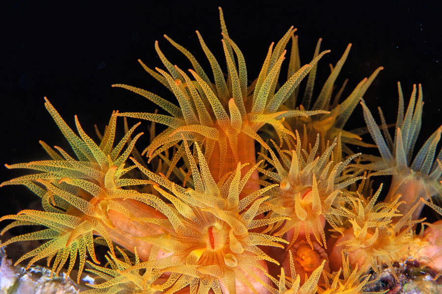 KFMG-LP Listen Live - 98.9 MHz FM, Des Moines, United States | Online ...