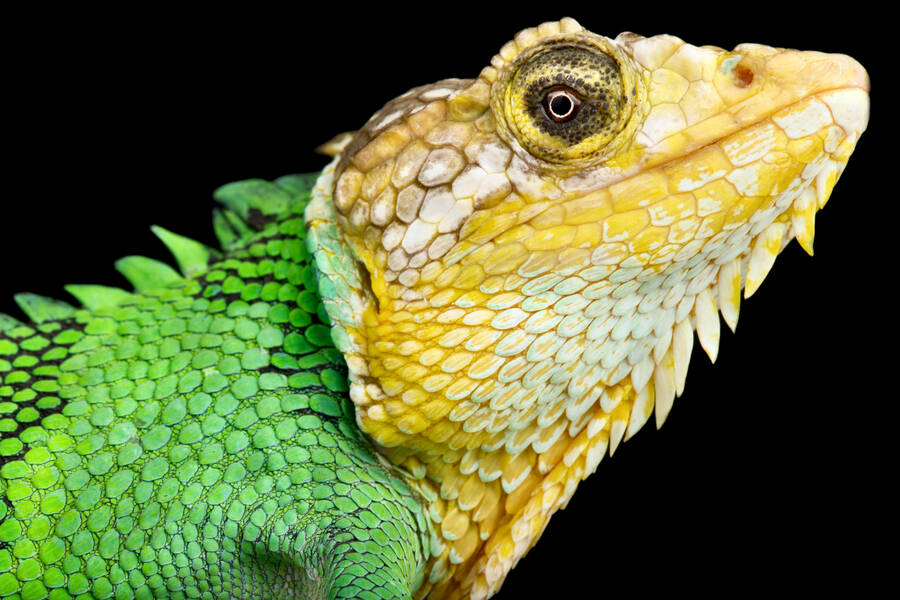 Jazz 91.1 FM - KCSM Listen Live - San Mateo, United States | Online ...