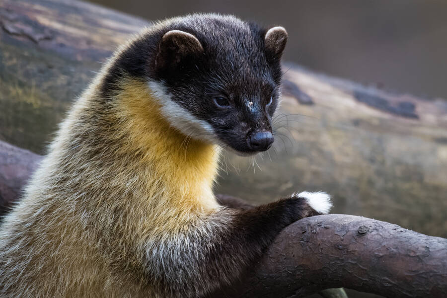 104.3 KKSD Listen Live - KKSD, Watertown, United States | Online Radio Box