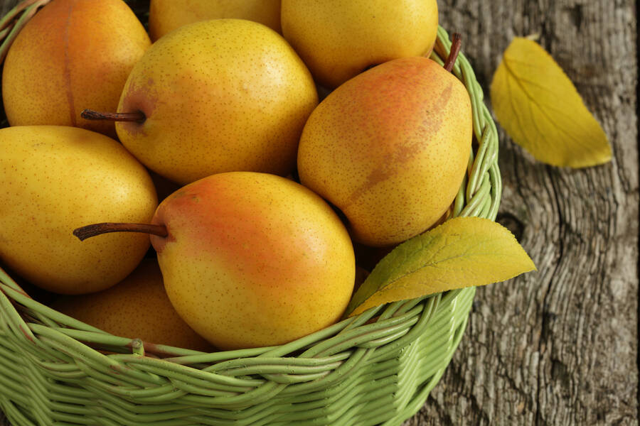 Sunny Country Listen Live - KSNI, 102.5 MHz FM, Santa Maria, United ...