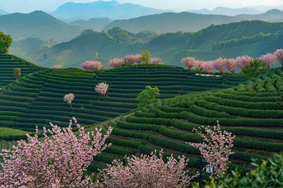 News-Talk 1380 WAOK Listen Live - Atlanta, United States | Online Radio Box