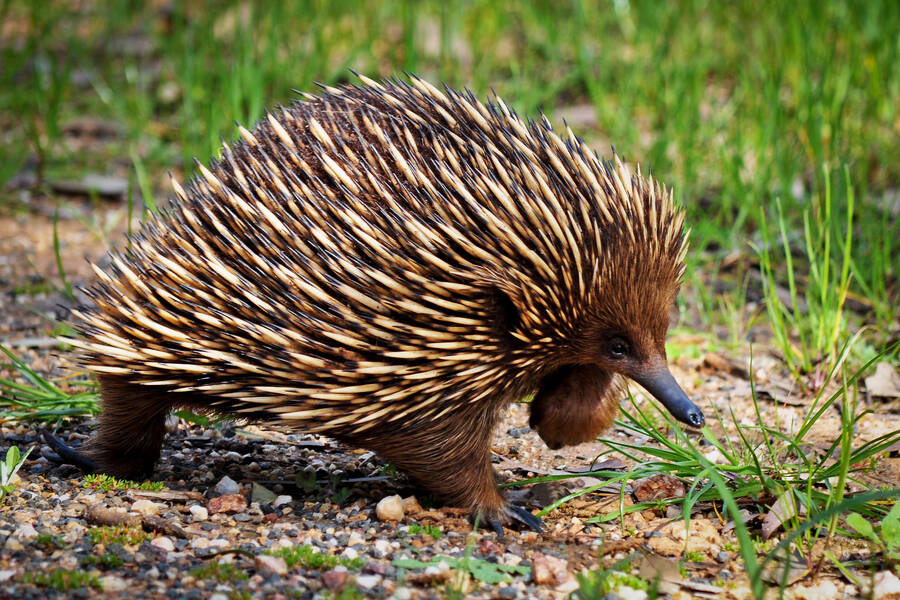 V-103 (WVEE) Listen Live - 103.3 MHz FM, Atlanta, United States ...