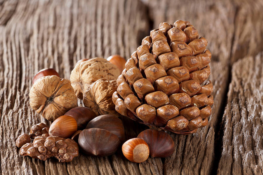 Darik Radio Слушайте на живо - 91.5 MHz FM, Шумен, България | Online Radio Box