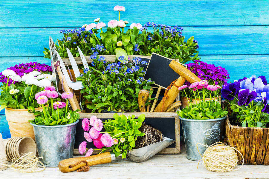 JOE Gold luisteren online | Online Radio Box