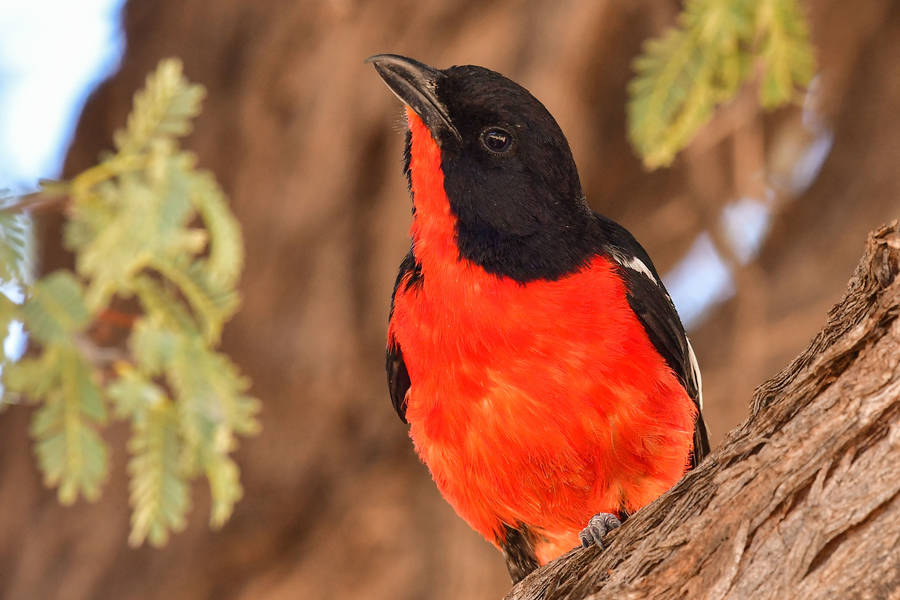 Star 102.5 Listen Live - Southern Pines, United States | Online Radio Box