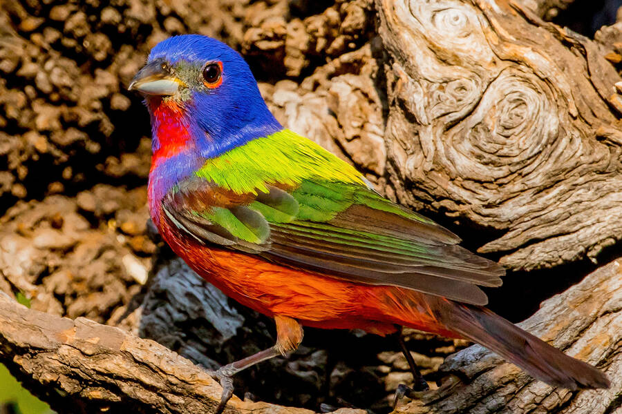 Newsradio 610 WIOD Listen Live - Miami, United States | Online Radio Box