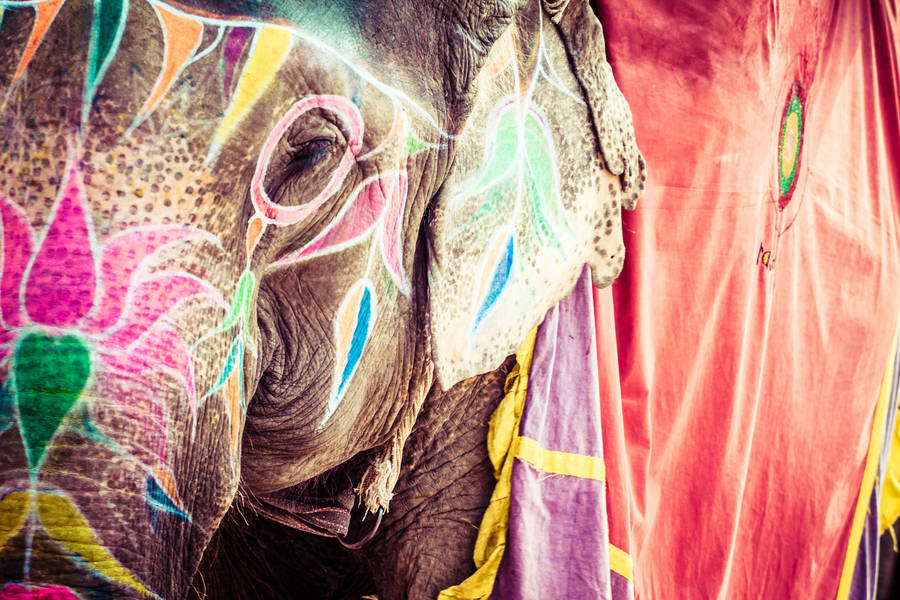 99-7 The Mix Listen Live - Springfield, United States | Online Radio Box