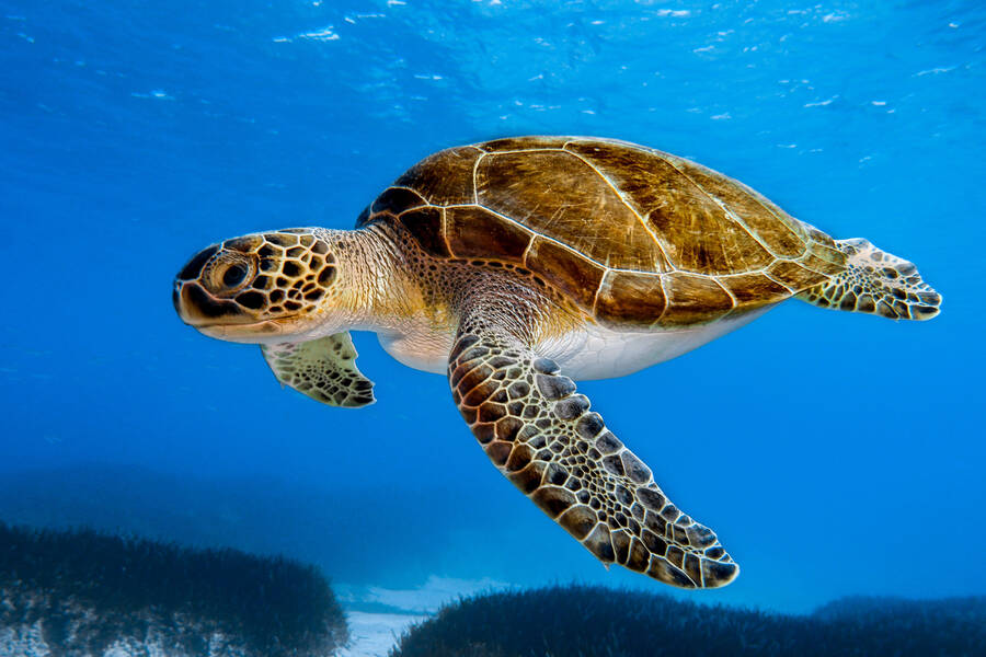 104.5 KDAT Listen Live - Cedar Rapids, United States | Online Radio Box