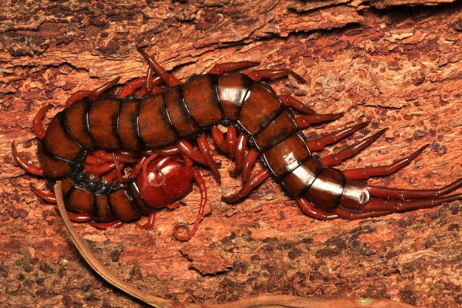 105.7 KOKZ Listen Live - Waterloo, United States | Online Radio Box