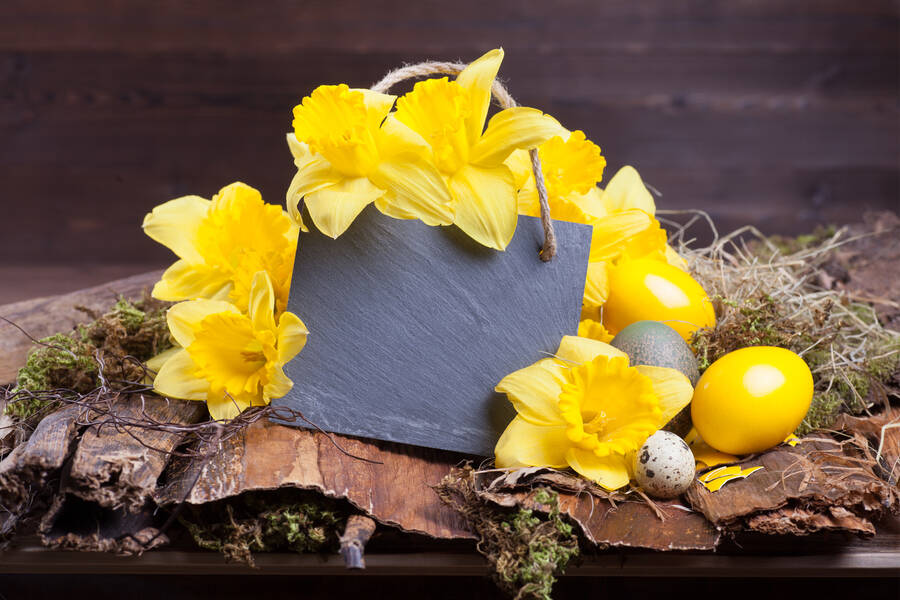 MOViN 92.5 KQMV Listen Live - Bellevue, United States | Online Radio Box