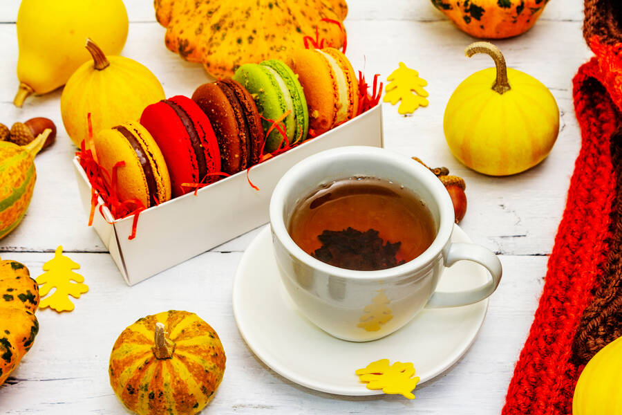 102.3 The Bug - WAUH Listen Live - Wautoma, United States | Online ...