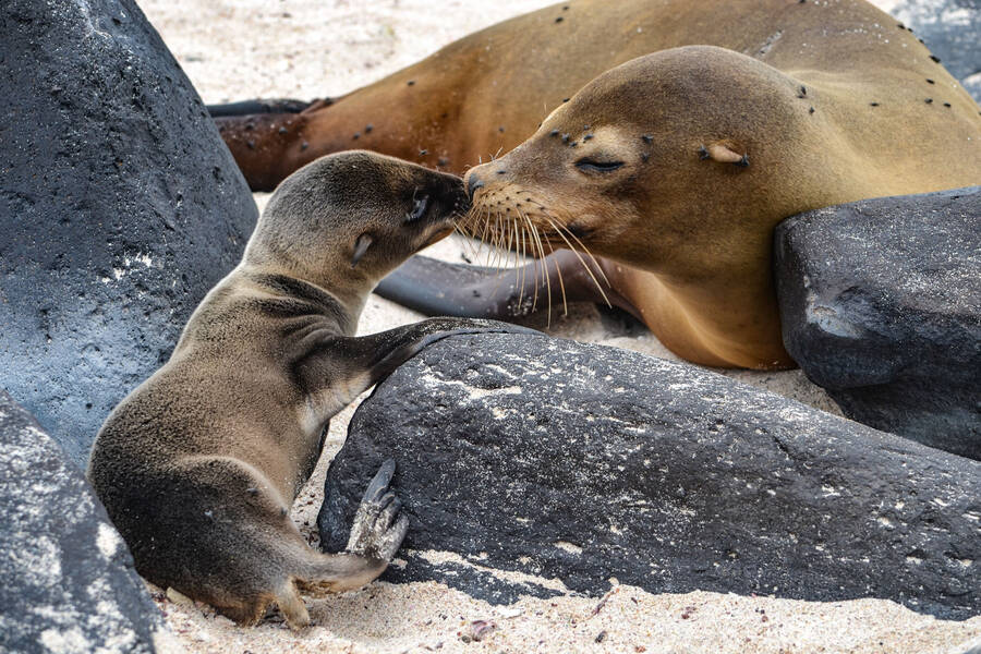 Cosmopolitan FM streaming - 90.4 MHz FM, Jakarta, Indonesia | Online ...