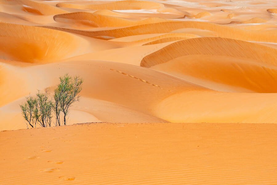 95.5 Nash Icon Listen Live - WSM-FM, Nashville, United States | Online ...