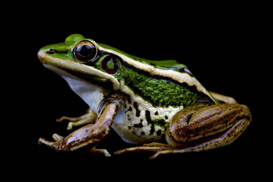 Magic 107.9 Listen Live - Fayetteville, United States | Online Radio Box