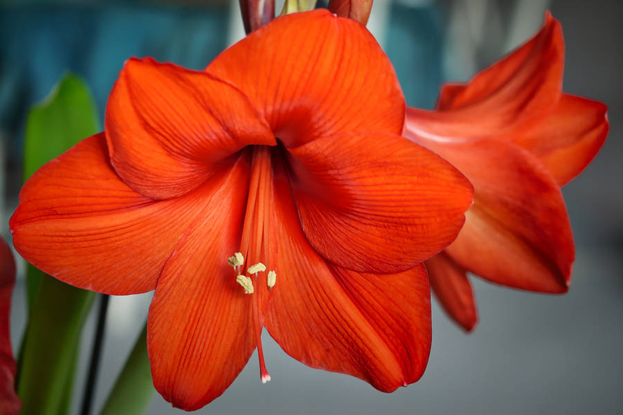 Spirit 92.9 FM - KKJM Listen Live - Saint Joseph, United States ...