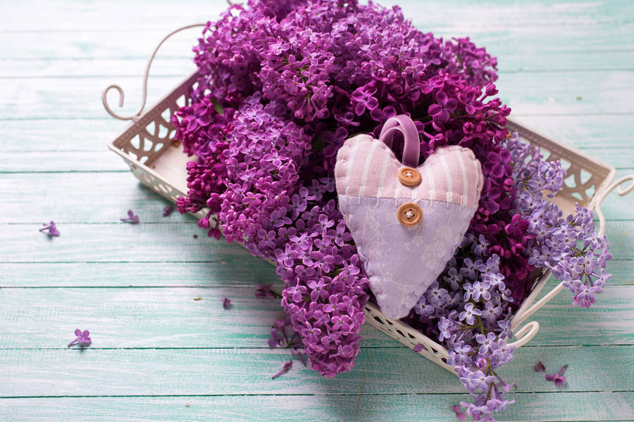 Talk 1300 AM - WGDJ Listen Live - Rensselaer, United States | Online ...