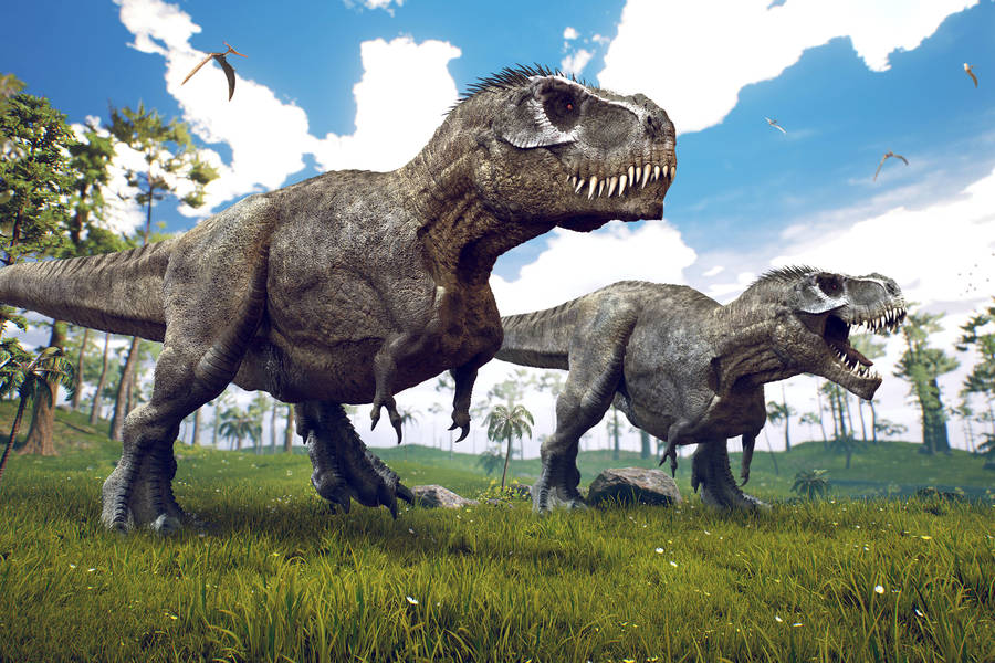 Bukedde FM Listen Live - 100.5 MHz FM, Kampala, Uganda | Online Radio Box