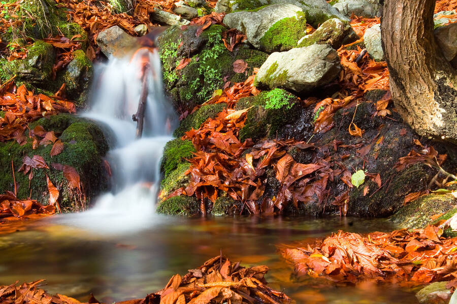 WMKM 1440 AM Listen Live - Inkster, United States | Online Radio Box