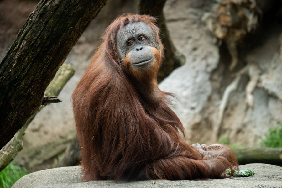 Star 102 Listen Live - 102.1 MHz FM, Cleveland, United States | Online ...