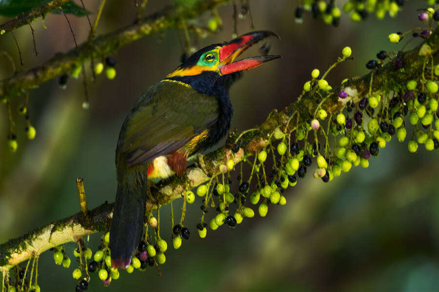 WPON - AM 1460 Listen Live - Walled Lake, United States | Online Radio Box