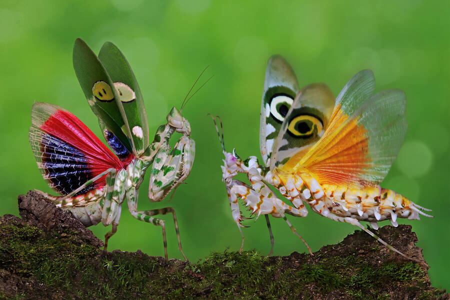 WRBO Listen Live - 103.5 MHz FM, Memphis, United States | Online Radio Box