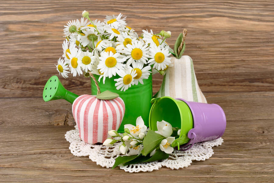 DZMM Radyo Patrol live streaming - 630 kHz AM, Quezon, Philippines ...