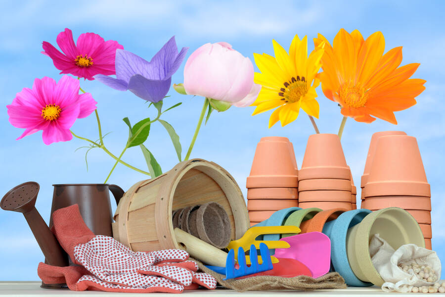 KGO 810 AM Listen Live - San Francisco, United States | Online Radio Box