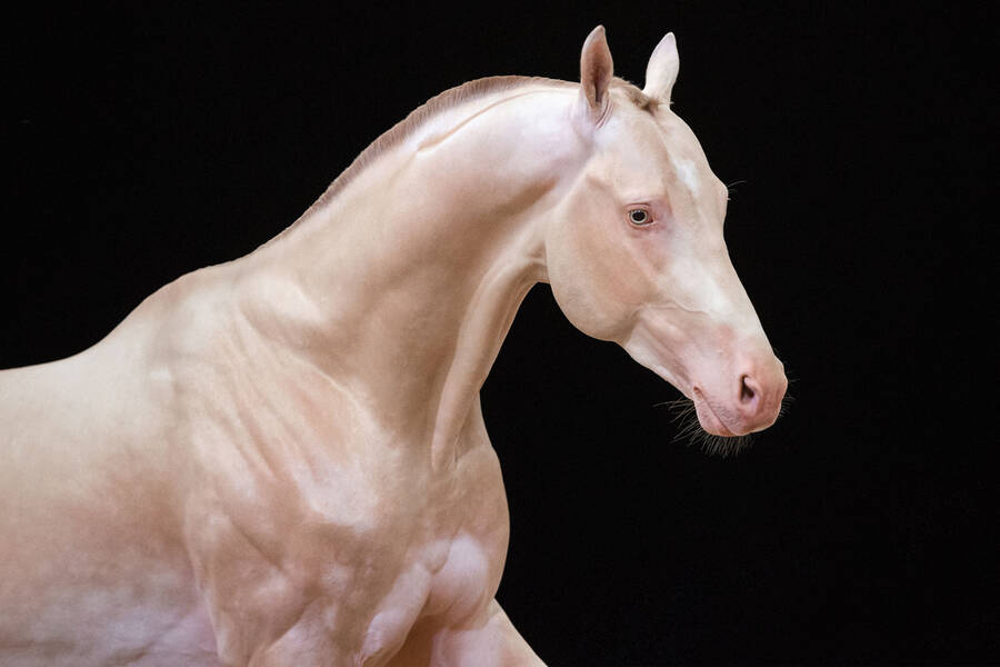 WQKT 104.5 Listen Live - Wooster, United States | Online Radio Box