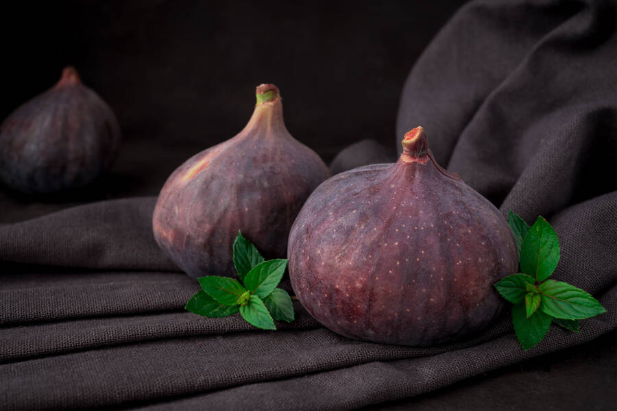 103-9 The Pig KPGG-FM Listen Live - Texarkana, United States | Online ...