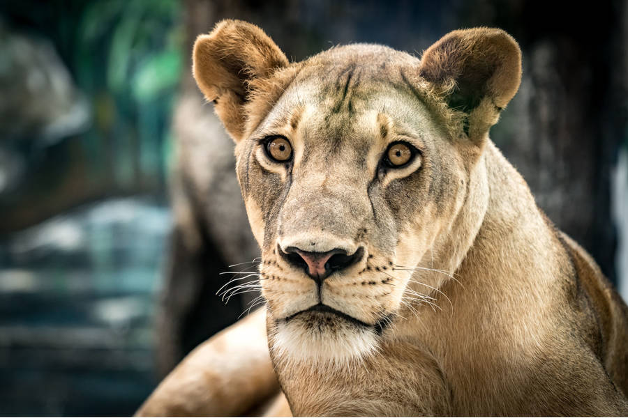 KMMJ AM 750 Listen Live - Grand Island, United States | Online Radio Box