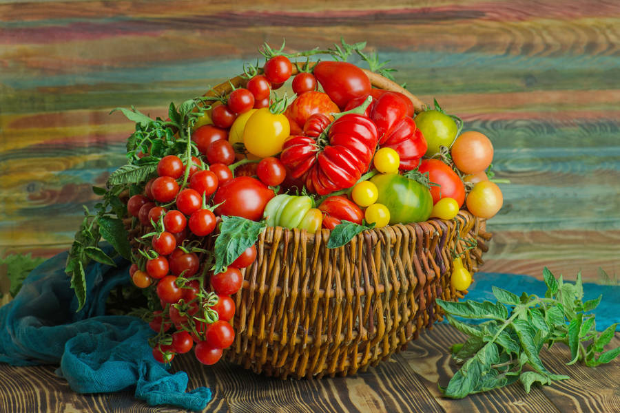 WZRC 1480 AM Listen Live - New York, United States | Online Radio Box