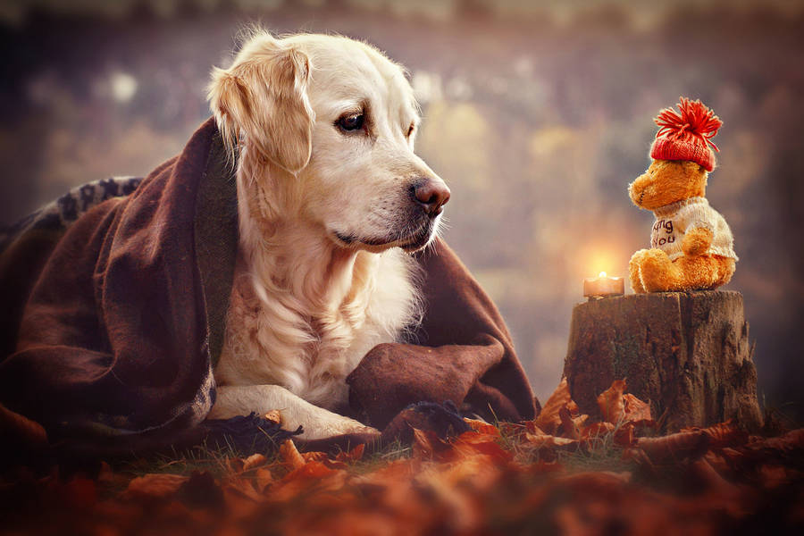 WNAM Listen Live - 1280 kHz AM, Neenah, United States | Online Radio Box