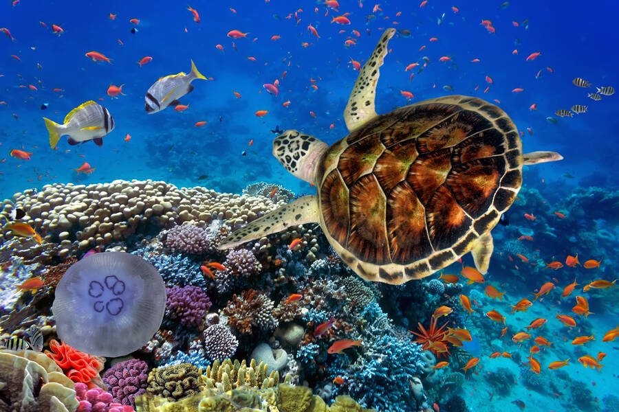 101.3 KGOT Listen Live - Anchorage, United States | Online Radio Box