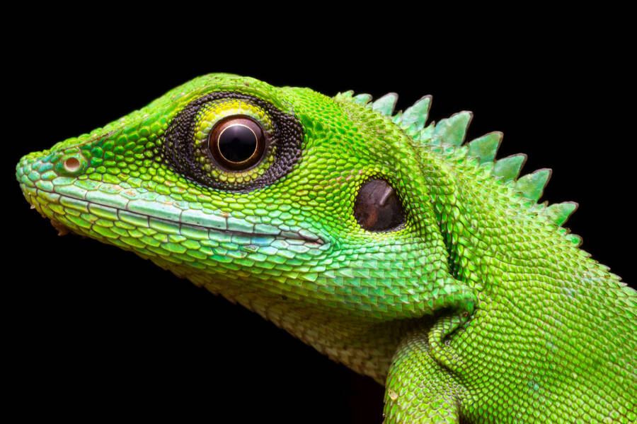 KTNN Listen Live - 660 kHz AM, Window Rock, United States | Online ...