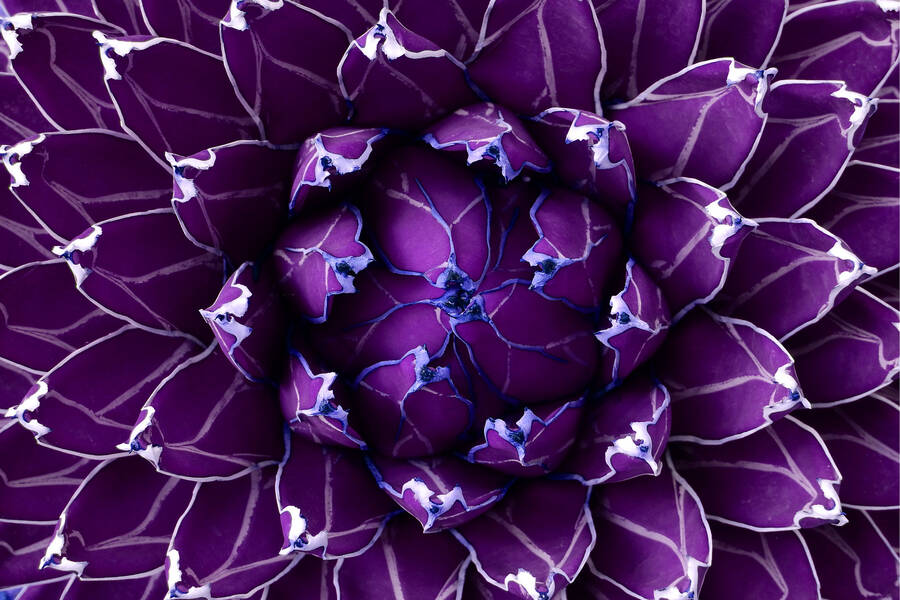 WIFC Listen Live - 95.5 MHz FM, Wausau, United States | Online Radio Box