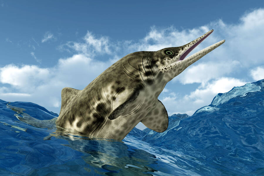 WWL 870 AM Listen Live - New Orleans, United States | Online Radio Box