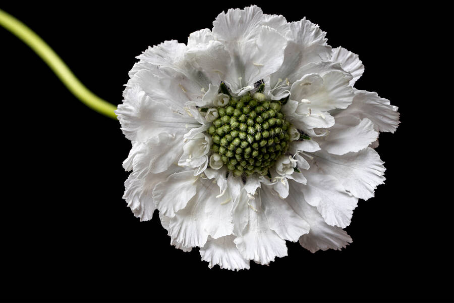 Today's Easy 99.1 FM Listen Live - Boston, United States | Online Radio Box