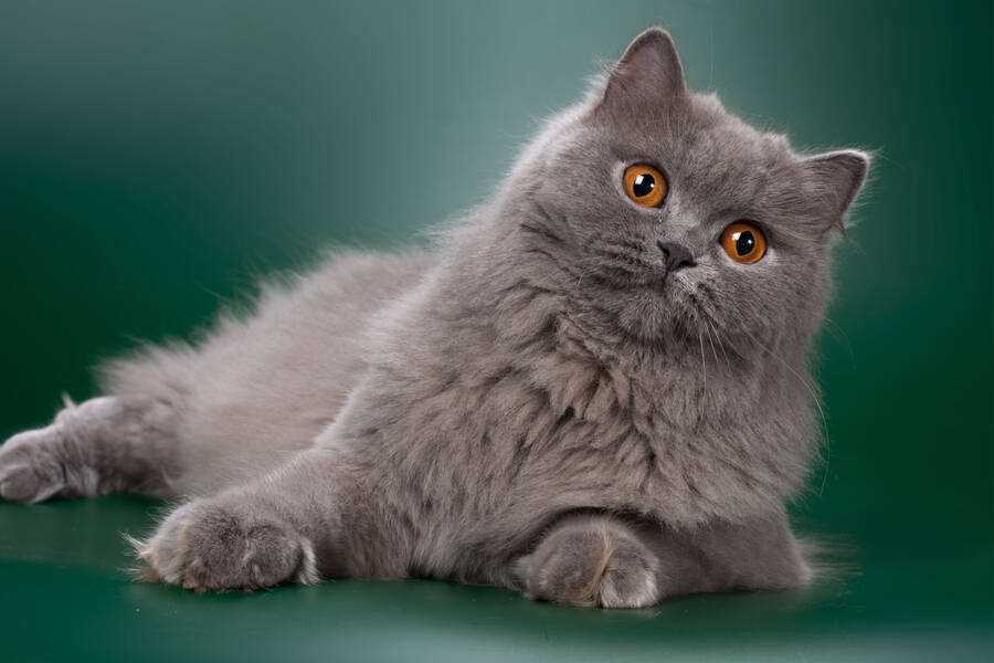 Beirut Nights Radio Listen Live - Beirut, Lebanon | Online Radio Box