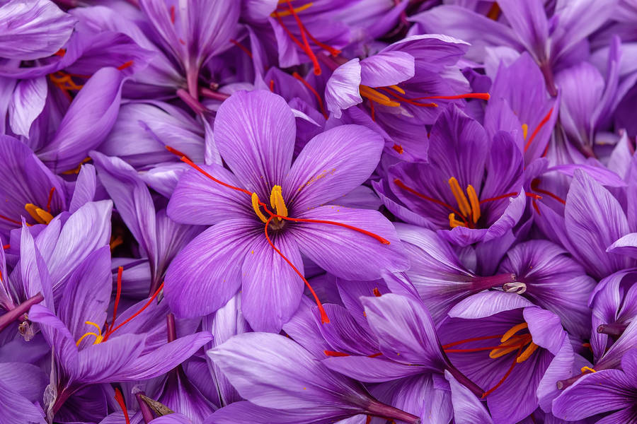 KCOW - AM 1400 Listen Live - Alliance, United States | Online Radio Box