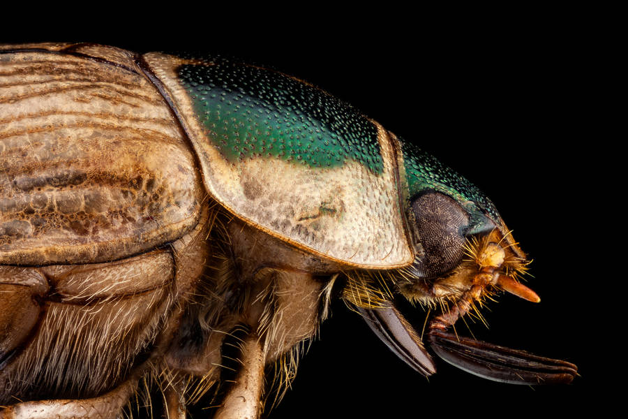 ABC Sport Listen Live - Sydney, Australia | Online Radio Box