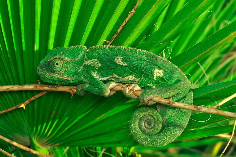 WTPR Listen Live - 101.7 MHz FM, Paris, United States | Online Radio Box