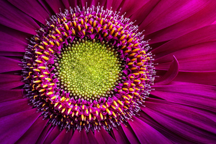 Philly's B101.1 Listen Live - Philadelphia, United States | Online ...