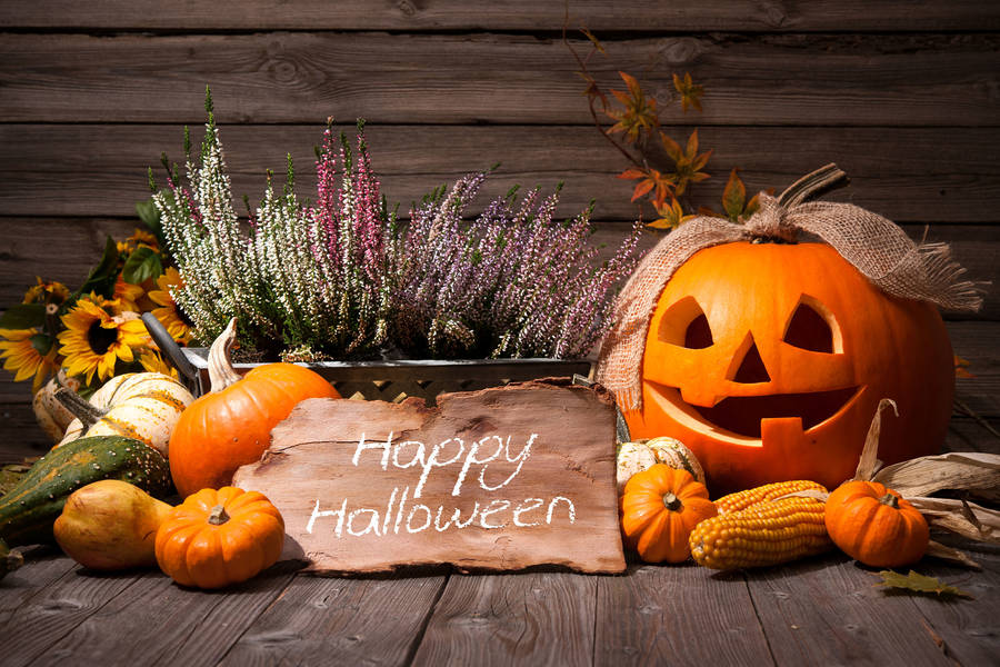 Hit FM Listen Live - 88.7 MHz FM, Beijing, China | Online Radio Box