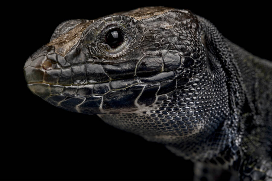 Kool 102 - KQLL Listen Live - 1280 kHz AM, Henderson, United States ...