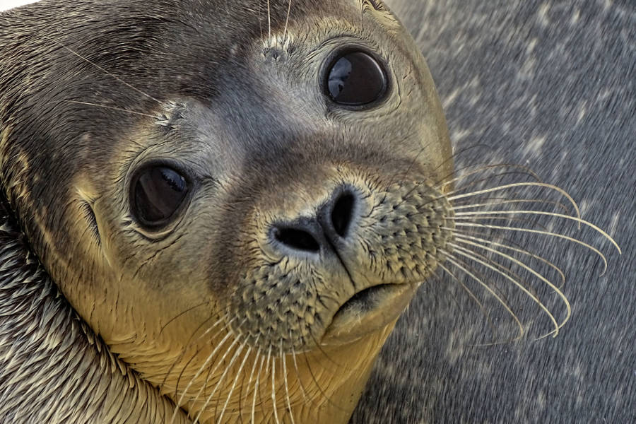 CBS Radio Buganda Listen Live - 89.2 MHz FM, Kampala, Uganda | Online ...